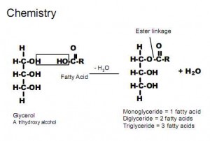 What Is Rancidity Explain With Example